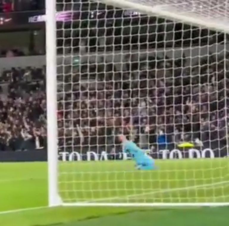 Watch: Fan footage shows Guglielmo Vicario's incredibly passionate ...